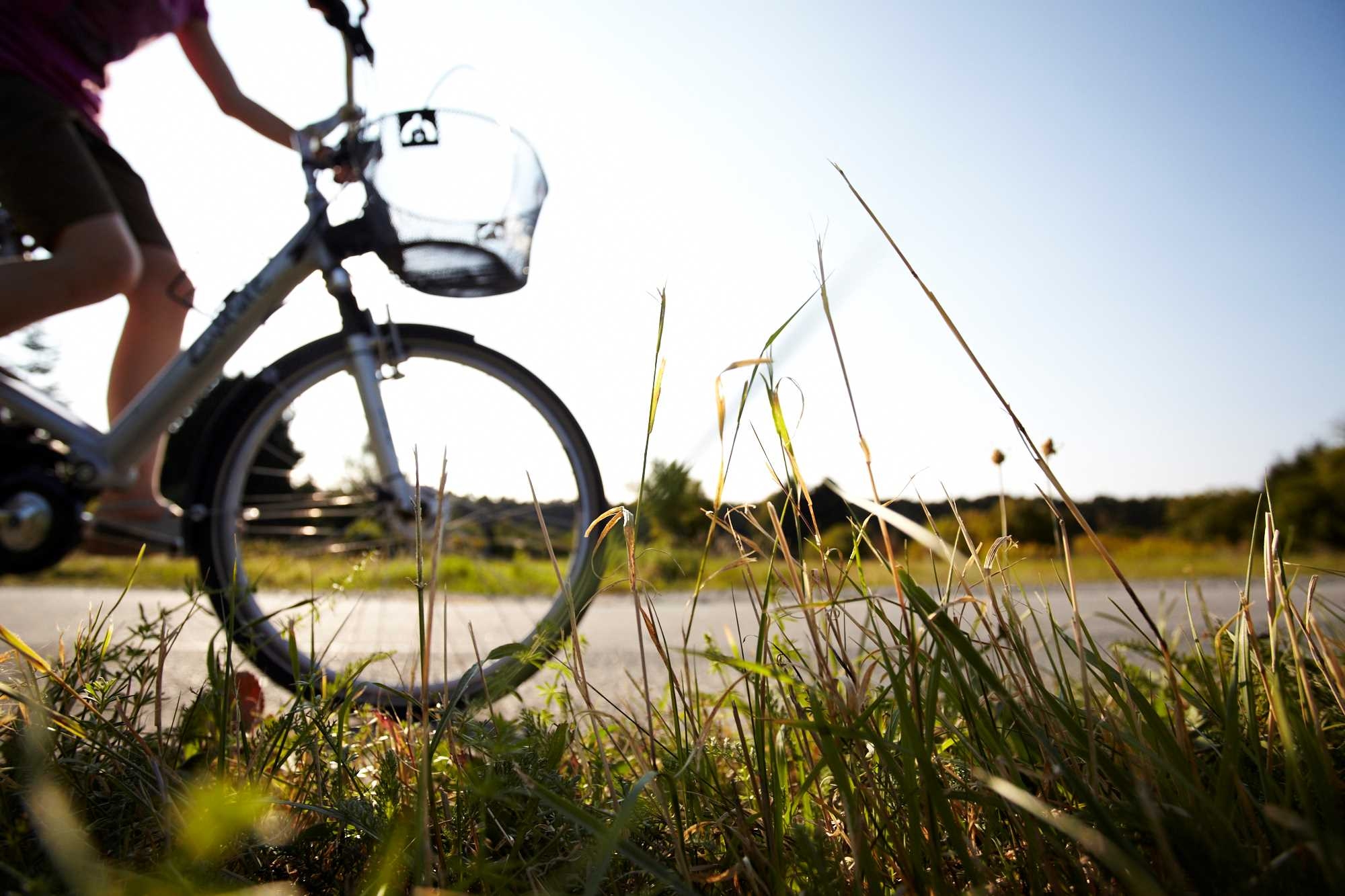 Seniorenausflug Fahrradtour | Seeheim - Jugenheim