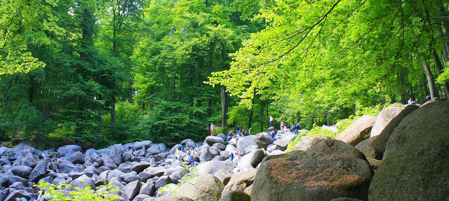 Klettertour im Felsenmeer | Seeheim - Jugenheim